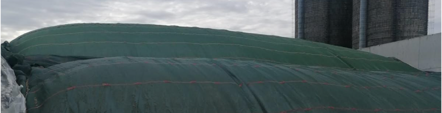 Silage Sheet Ballooning: Causes, Safety, and Solutions – Silostop Agri