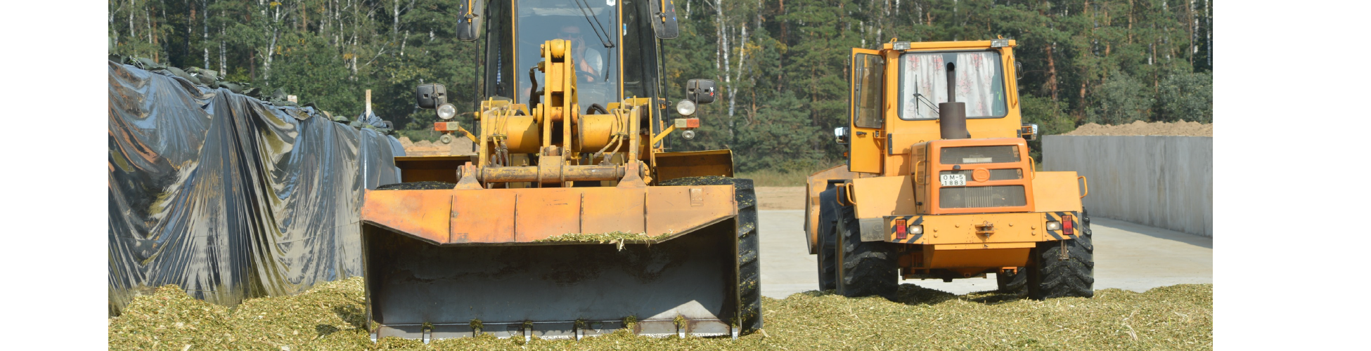 The Importance of Proper Silage Compaction: How to Guarantee Quality F ...