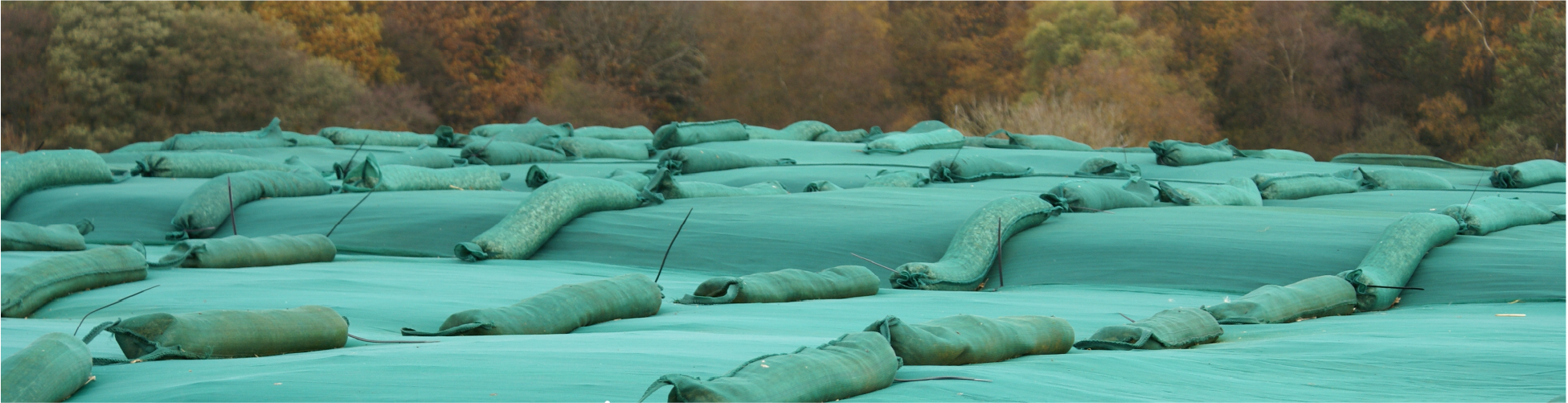 A Simple Fix to Stop Birds and Wildlife from Ruining Your Silage ...